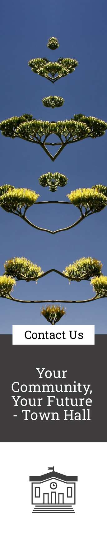 How to Market Your Town Hall Business for Maximum Impact