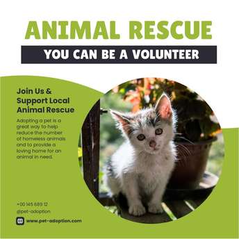 Launch your Pet Adoption Business with Instantly Editable Awareness ...