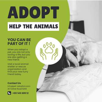 Launch your Pet Adoption Business with Instantly Editable Awareness ...