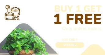 Create Professional Instagram Landscape Designs with Desygner: A Step ...