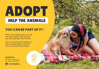 Create Outstanding A5 Designs with Desygner: A Guide to Marketing in ...