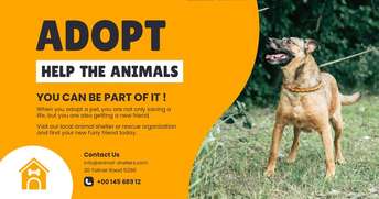 Top Awareness Campaigns Templates for Animal Shelters Business