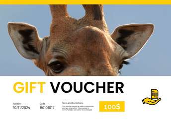 Maximize Time with Editable Voucher | A5 Format Employee Rewards ...
