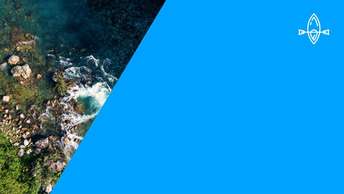 Create Eye-catching Zoom Backgrounds with Desygner: A Step-by-Step Guide