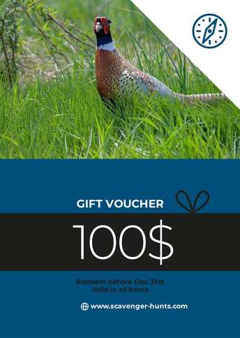 Create a Professional-Looking Voucher A5 Design Format to Boost Your ...