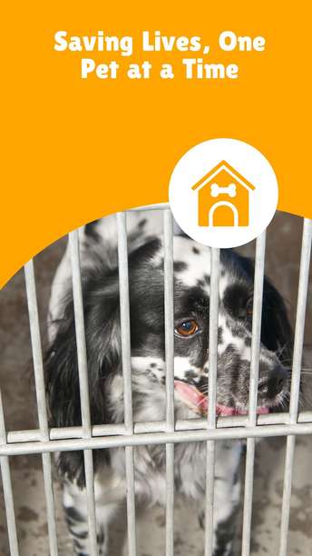 Boost Your Animal Shelters Business with Branded Editable Materials