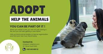 Launch your Pet Adoption Business with Instantly Editable Awareness ...