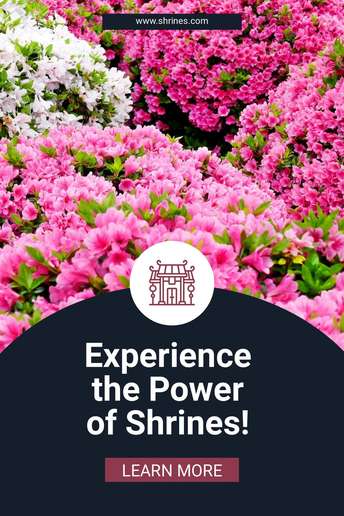 Creating an Engaging Pinterest Ad Design with Desygner: The Definitive ...