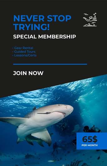 Top Outdoor Banners Templates for Your Scuba Diving Business