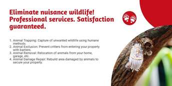 Wildlife Control Business: Get Branded Templates to Thrive Today!
