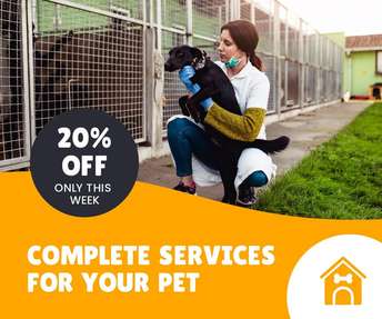 Boost Your Business with High-Quality Web Ads Editable Designs