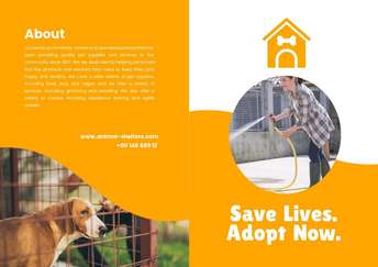 Stand Out with Stunning Animal Shelter Designs: Boost Your Marketing!