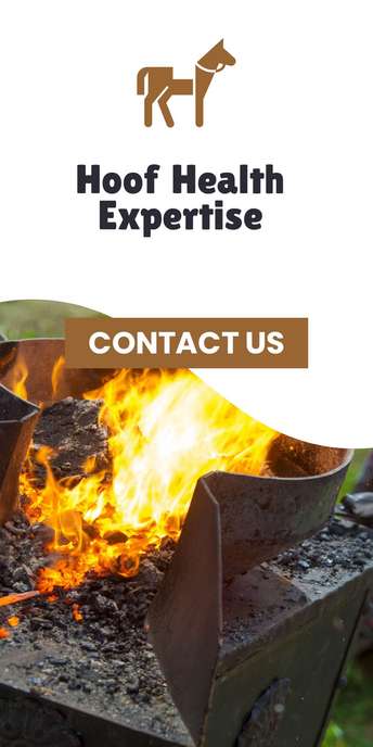 Launch Your Farriers Business with Web Ads Editable Designs!