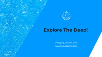 Create a Captivating Pinterest Cover Design with Desygner - A ...