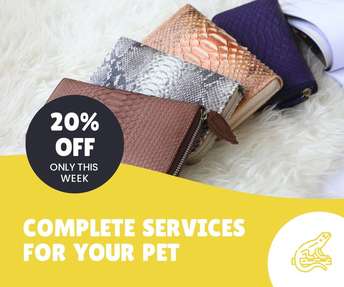 Enhance Your Reptile Shops Business with Top Web Ads Designs