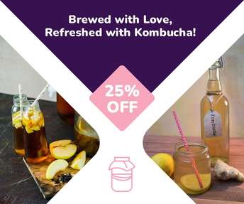 Boost Your Kombucha Business with Top Web Ads Designs!