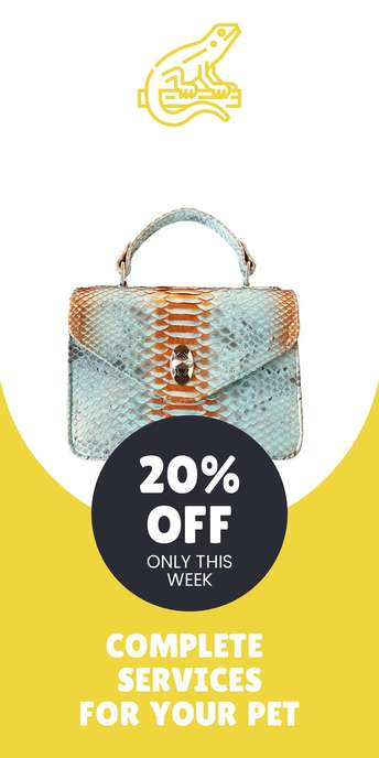 Enhance Your Reptile Shops Business with Top Web Ads Designs