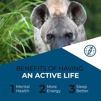 Boost Business with Branded Materials: Scavenger Hunt Success Secrets!