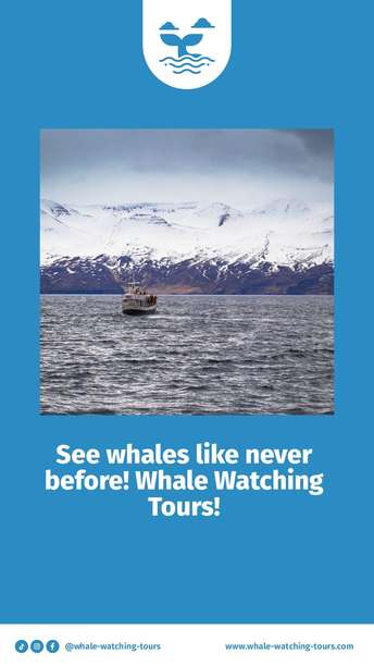 Revolutionize Your Whale Watching Tours Business with Desygner's ...