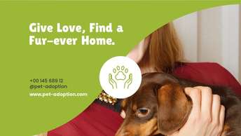 Tips for Mastering the Art of Pinterest Cover Design to Increase your Reach