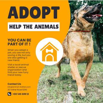 Top Awareness Campaigns Templates for Animal Shelters Business