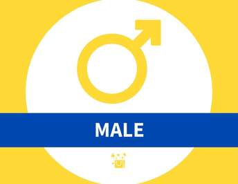 How to Create Professional Marketing Materials for Your Sectional Signs ...