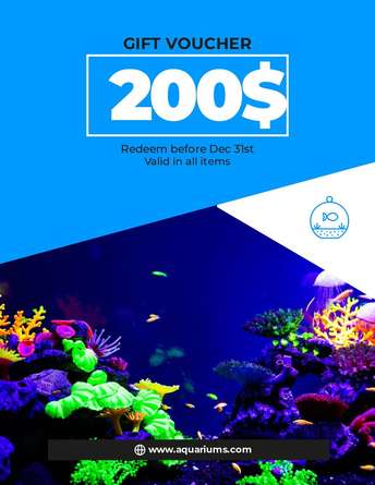 The Ultimate Guide to Marketing a Voucher SM Design Format