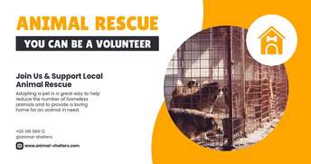 Top Awareness Campaigns Templates for Animal Shelters Business