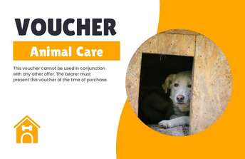 Create Animal Shelter Voucher Designs in Seconds with Editable Templates