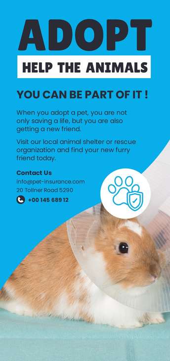 Launch your Pet Insurance biz with editable Awareness Campaign designs