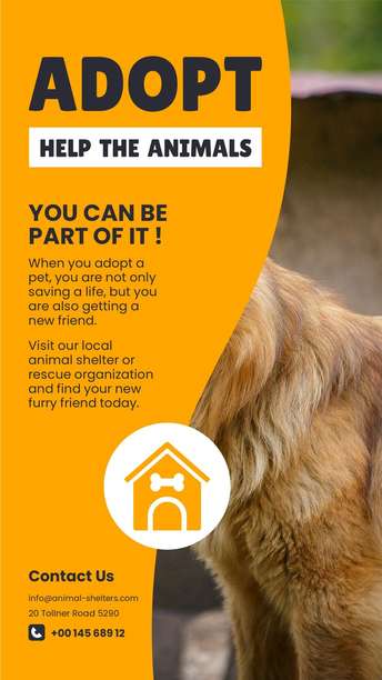 Top Awareness Campaigns Templates for Animal Shelters Business