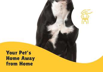 Creating Effective Presentation Design Materials: Tips & Strategies for ...