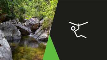 Create Eye-Catching Desktop Wallpaper Designs with Desygner: A Step-by ...