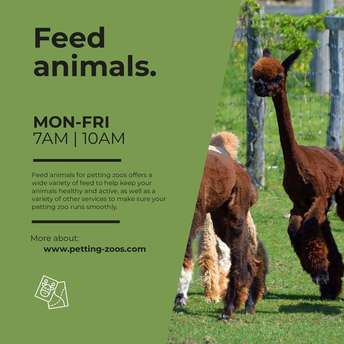 Top Activities Designs for Your Petting Zoos Business