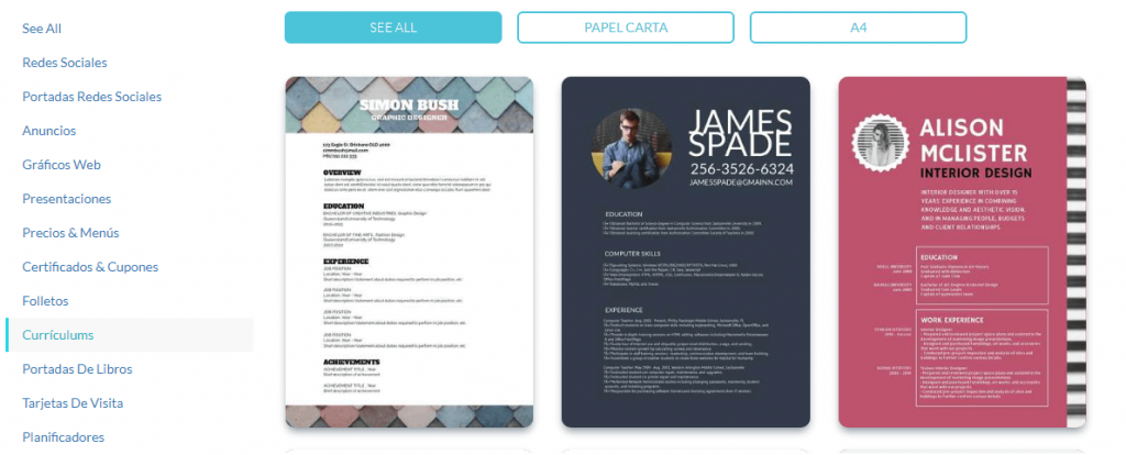 How to Make an online Resume in 5 steps with Desygner