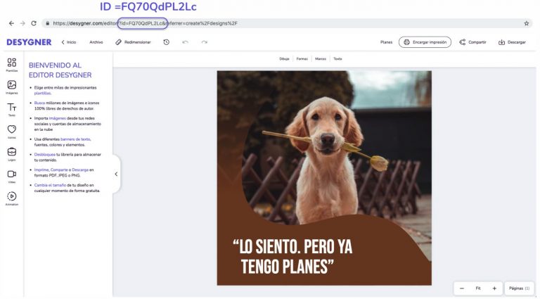 ¿Cómo reportar un problema? – Desygner ES